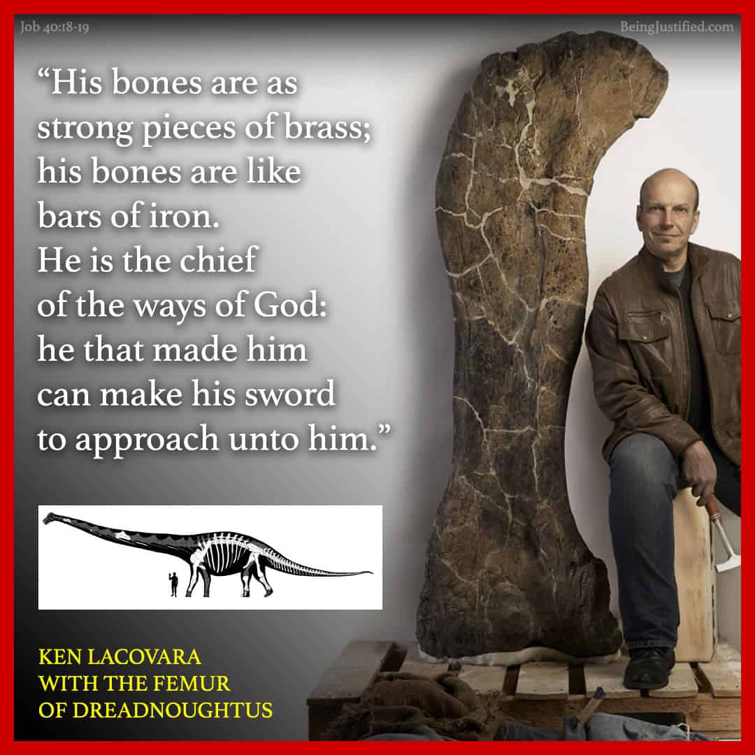 Dinosaurs walked with man according to the bible - Being Justified