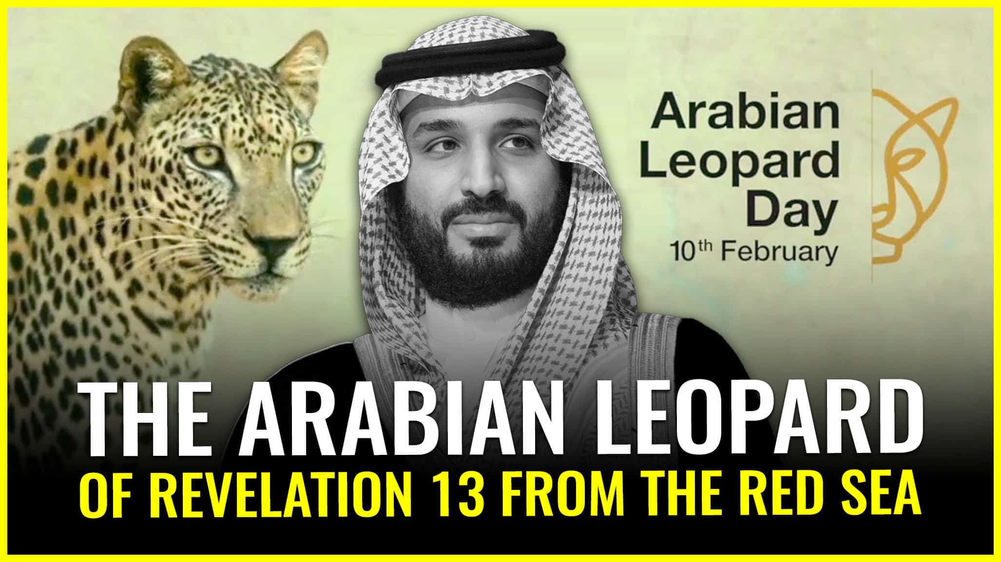 The ARABIAN leopard of Revelation 13 from the Red Sea, MBS - Being ...